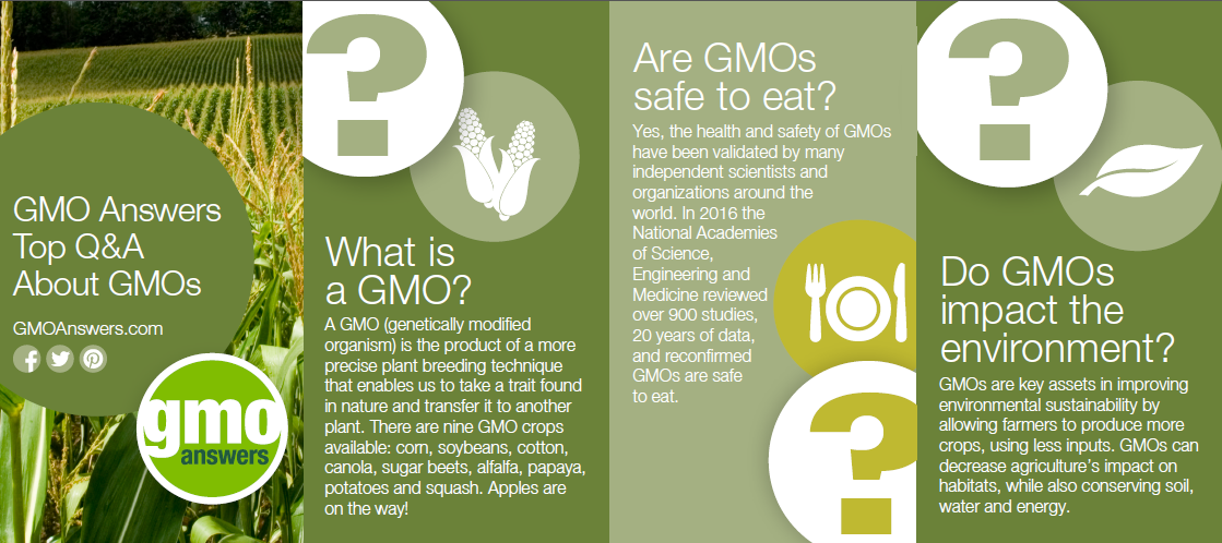 Modern Agriculture | GMO Answers